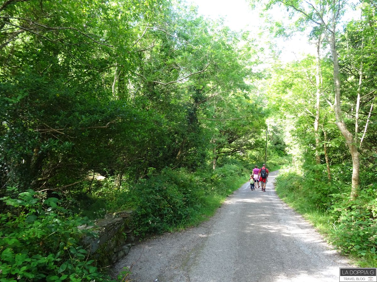 Killarney: visita al Ross Castle e tour del Ring of Kerry