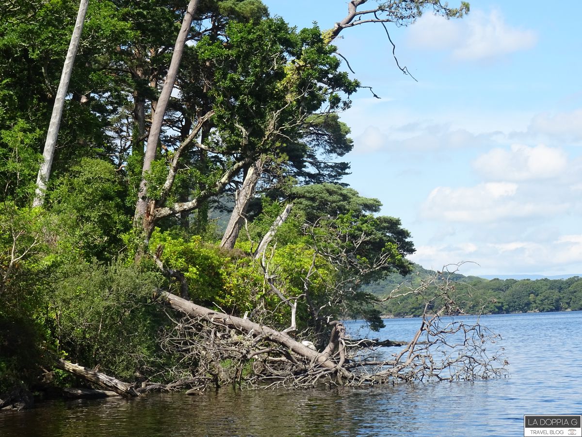 Killarney: visita al Ross Castle e tour del Ring of Kerry
